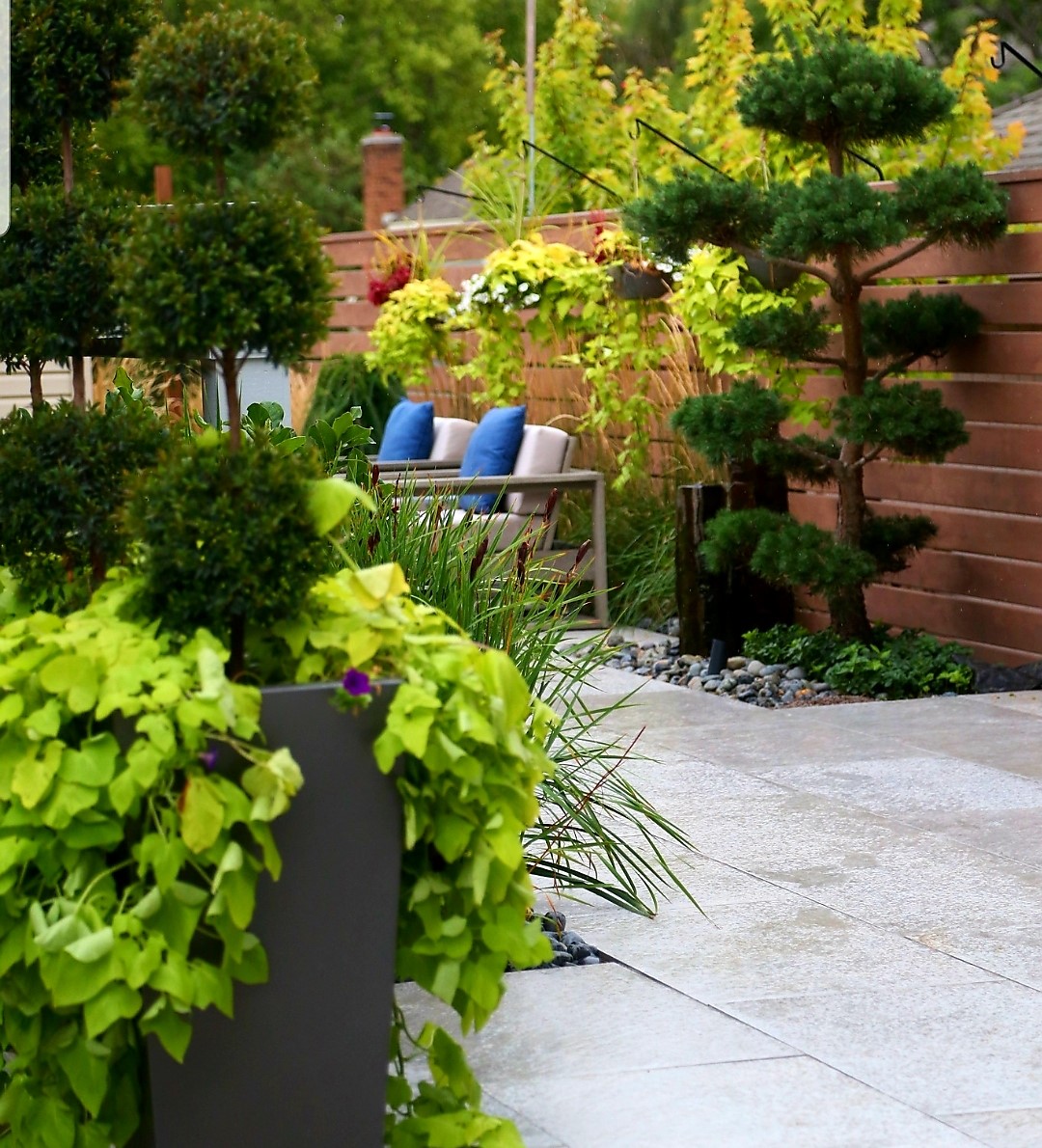 Softscape Landscape Contractor Minneapolis | MH3 Design Group